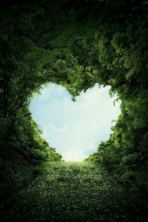 Pin On ️ Heart ️ Heart In Nature Beautiful Nature Nature
