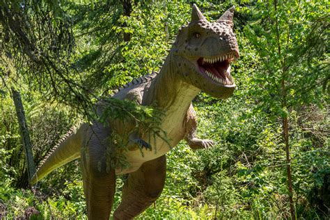 Book An Event Jurassic Forest