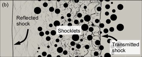 Pr Dns Of A Mas 166 Shock Interacting With A Particle Curtain With Download Scientific