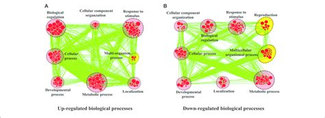 Biological Process Analysis Of DEGs Between Leaf And Flower Tissues