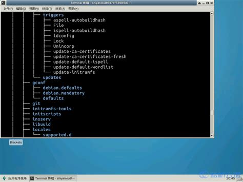 Linux 目录结构及文件基本操作 蓝桥云课