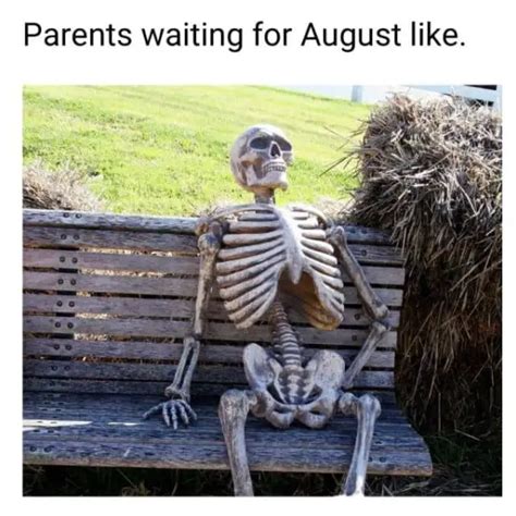 15 Funny August Memes That Are Absolute Gold In 2026