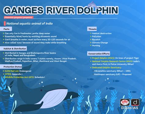 Global Declaration For River Dolphins