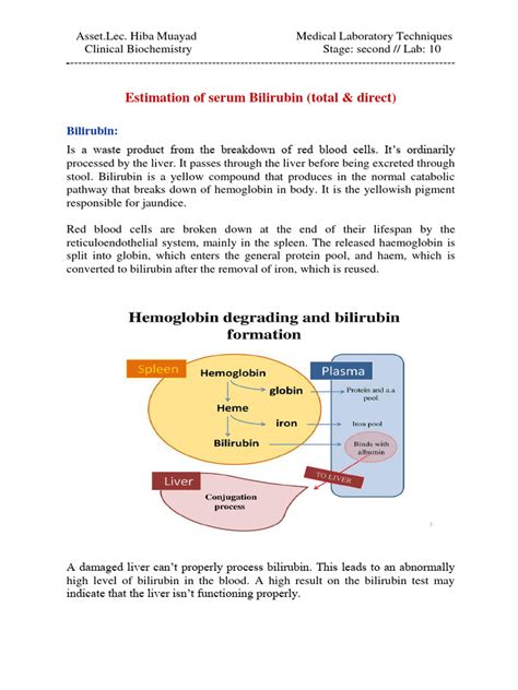 Lab 10 Estimation Of Serum Bilirubin Pdf