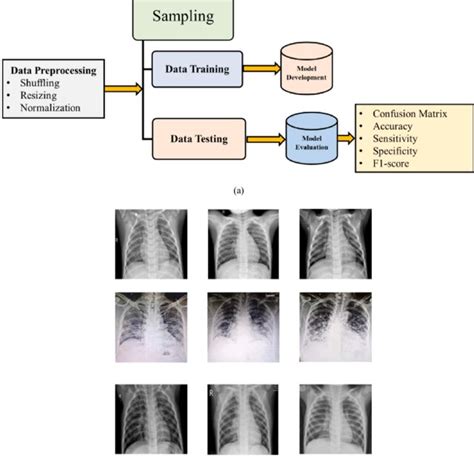 Schematic Of Convolutional Neural Network Cnn Download Scientific Diagram