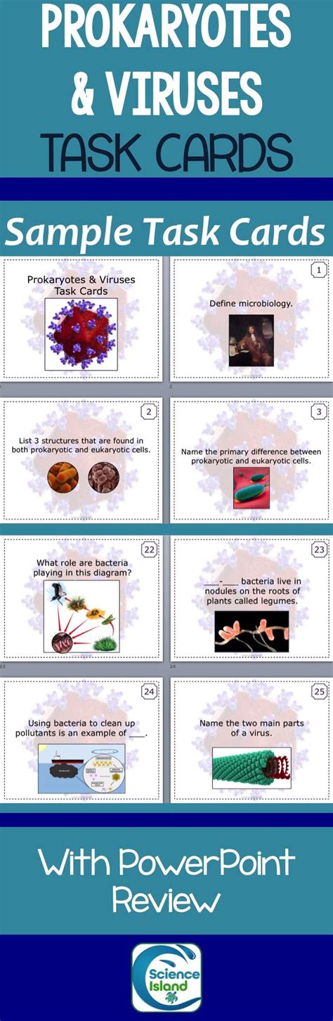 Prokaryotes And Viruses Task Cards Activity For Biology Interactive Teaching Ideas Task Cards