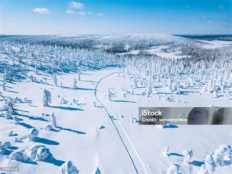 핀란드의 눈 덮인 나무와 시골 도로가있는 하얀 겨울 숲의 공중 보기 핀란드 라플란드에 대한 스톡 사진 및 기타 이미지 핀란드 라플란드 0명 겨울 Istock