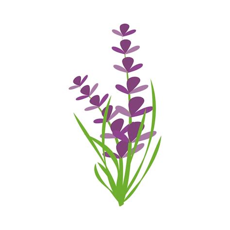 Premium Vector Flower Vector Art