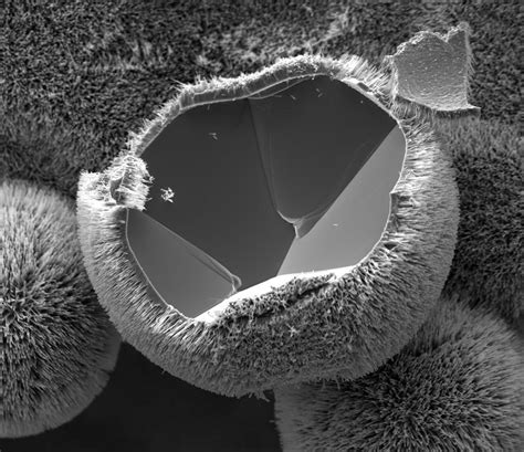 Nano Art By XXD On DeviantArt