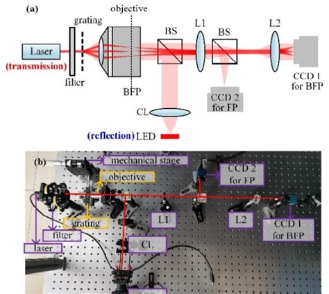 A Schematic Diagram Of The Experiment Setup Cl Collimating Lens