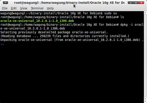 Installasi Oracle 10g Express Edition Di Gnulinux Ubuntu