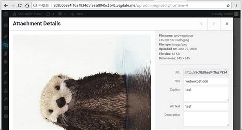 wordpress