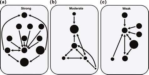 Different Polycentric Structures In Three Climate Affected Regions Download Scientific Different Polycentric Structures In Three Climate Affected Regions Download Scientific