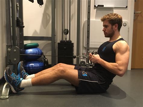 Rows Exercise Muscles