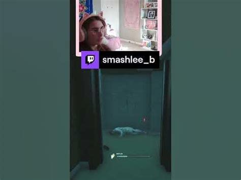 Just Dropping In Smashleeb On Twitch Youtube