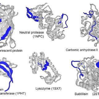 Three Dimensional 3d Structures Of Green Fluorescent Protein 1emb