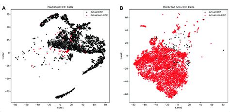 The T Sne Plots Of Predicted Hcc Cells And Normal Liver Cells A The