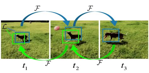 Illustration Of Our Self Supervised Cycle Consistent Framework Given