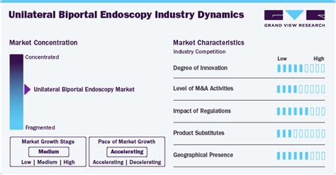 Unilateral Biportal Endoscopy Market Size Report 2030
