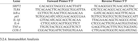 forward and reverse primers download table