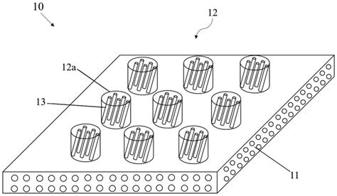 Biomimetic Composite Structure With Enhanced Adhesion And Friction