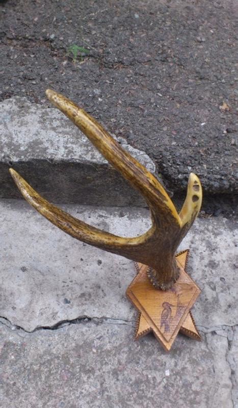 Рога лося роги лося — цена 350 грн в каталоге Статуэтки Купить товары