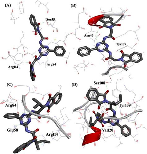 The Binding Mode Of Compounds 6a In The Active Site Of As Aureus Dna