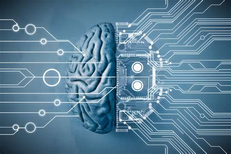 Intriguing Digital Composition Human Brain With Abstract Circuit Board Neural Networks Stock