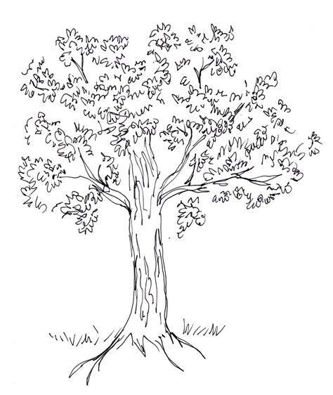 Pen And Ink Tree Drawing At GetDrawings Free Download
