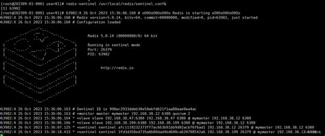 【linux】麒麟v10安装redis哨兵集群（arm架构） redis arm csdn博客