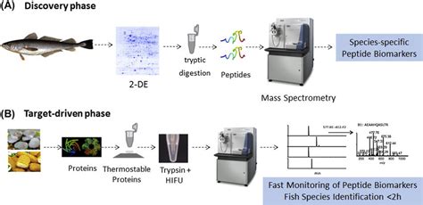 2 The Proteomic Pipeline Used For The Identification Characterization