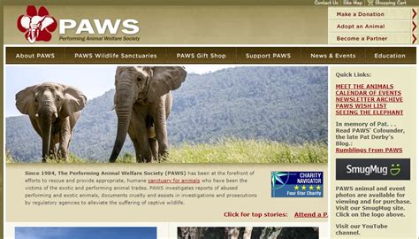 Content Analysis How Existing Websites Improve With Data Analysis Content Creation Extension