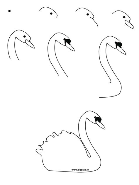 Easy Pencil Drawings Of Bird Step By Step Pencildrawing