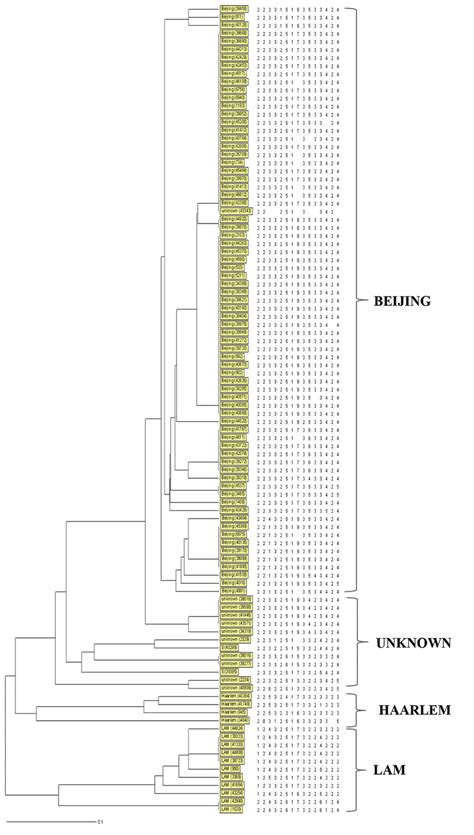 Figure Dendrogram Deduced From Clustering Analysis Of 100 Isolates By Download Scientific