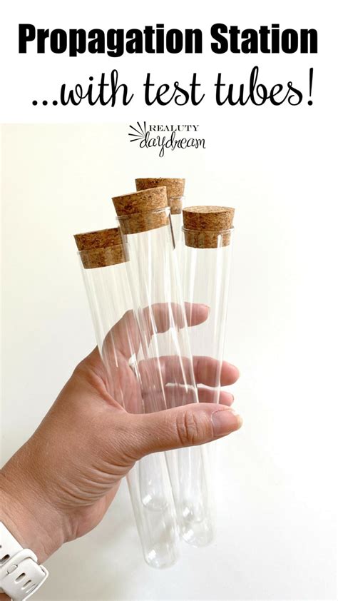 Test Tube Propagation Station Tutorial Artofit