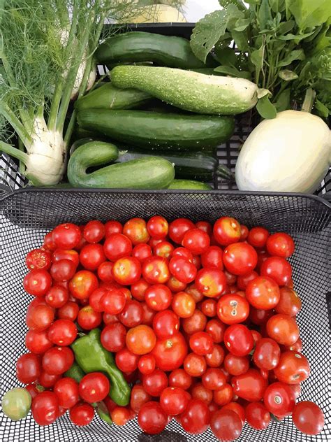 Iniobong Pius On Linkedin Organic Or Inorganic Looking Really Fresh