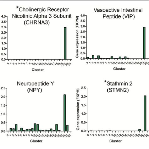 Gene Expression Signatures For Cluster 21 Neurons Genes Upregulated In Download Scientific