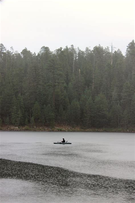 Itzia Crespo Multimedia Work Itzia Crespo Medium