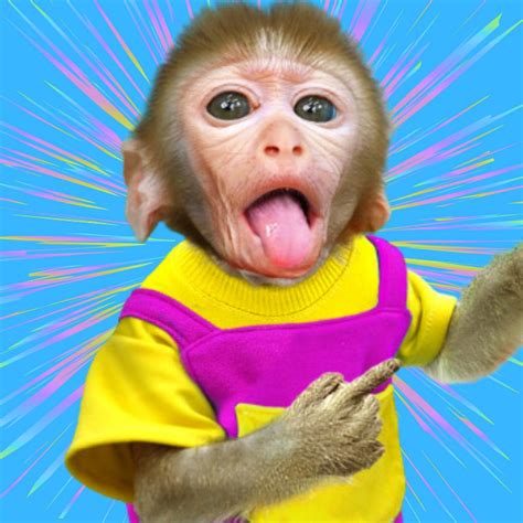 Bubu Indonesian Youtube