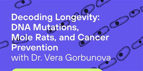Decoding Longevity Dna Mutations Mole Rats And Cancer Prevention With Prof Vera Gorbunova On