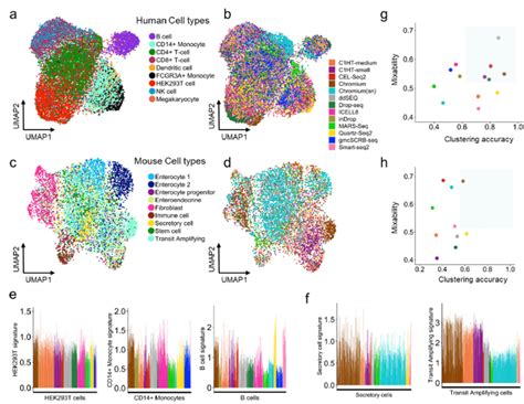 Integration Of Sc Snrna Seq Methods Umap Visualization Of Cells After Download Scientific