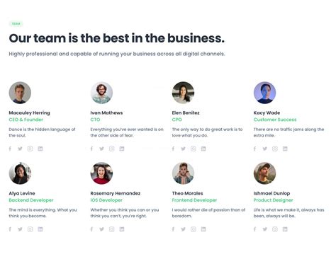 Bootstrap Team Components In Flex Library