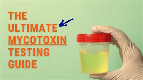 The Best Mycotoxin Test Ultimate Mycotoxin Testing Guide Fwdfuel Sports Nutrition