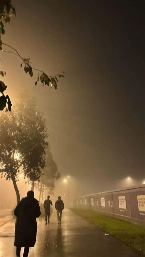 Fog Aesthetic Nature Aesthetic Fog Nature Sky Sky Aesthetic