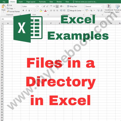 Excel Example Files In A Directory In Excel Vba Myritebook Learn