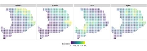Spatially Informed Cell Type Deconvolution For Spatial Transcriptomics