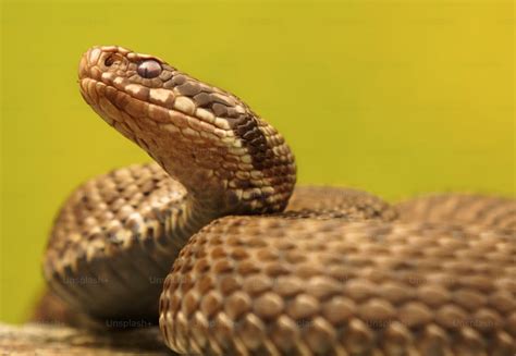 Naked Capitalism Finance Economics Politics Power Page Of