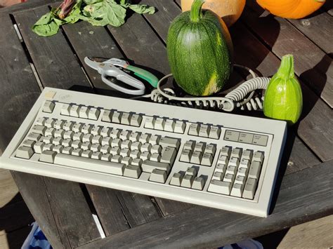 Just Found An Old Ibm Model M Keyboard In A Closet What Are Your