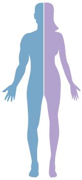 Dictionary Normal Appendix The Human Protein Atlas