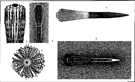Figure 1 From Development And Applications Of An Embedded Csd